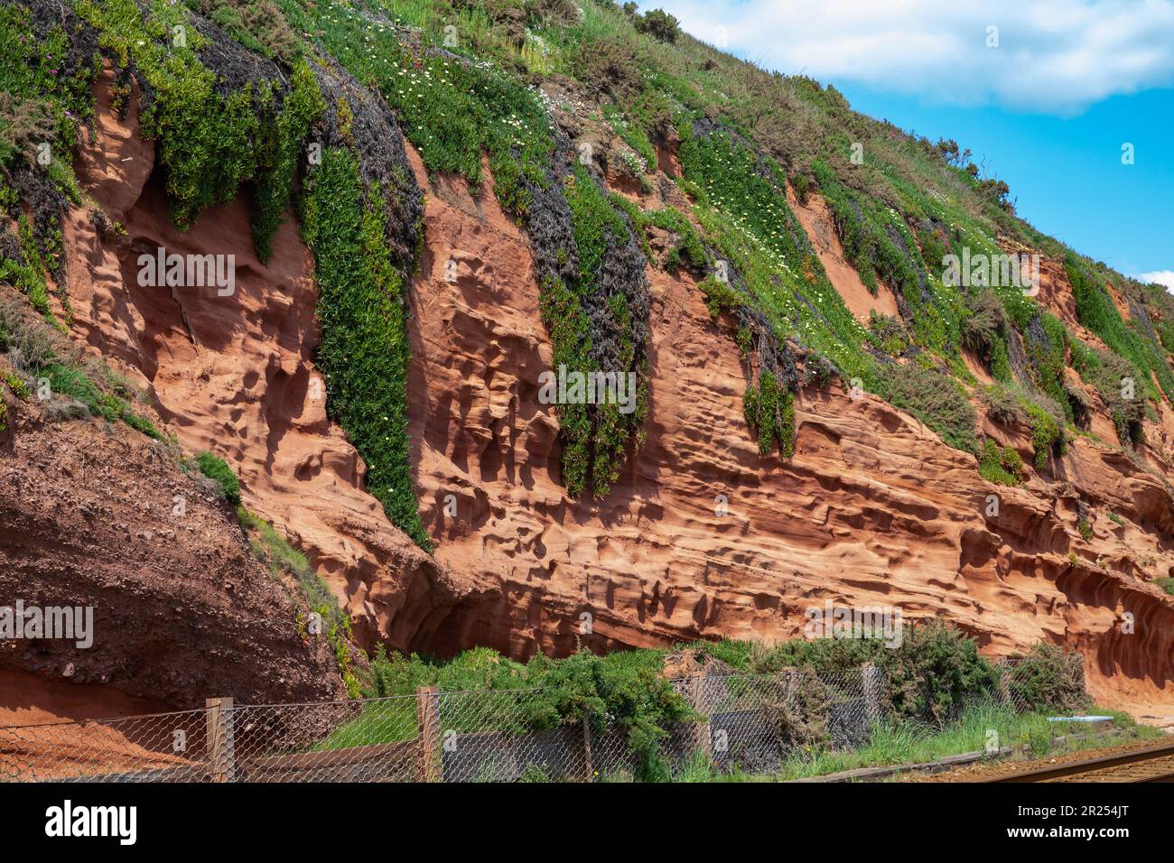 Red Rocks covered in greenery in Dawlish Warren, Devon, Uk Stock Photo ...