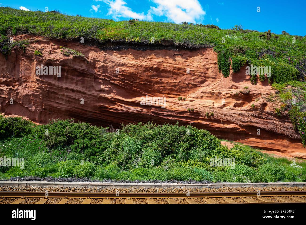 Red Rocks covered in greenery in Dawlish Warren, Devon, Uk Stock Photo ...