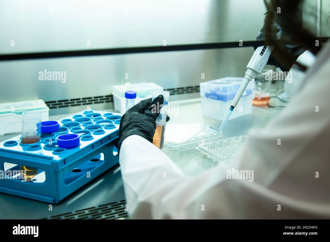 cell culture media Stock Photo - Alamy