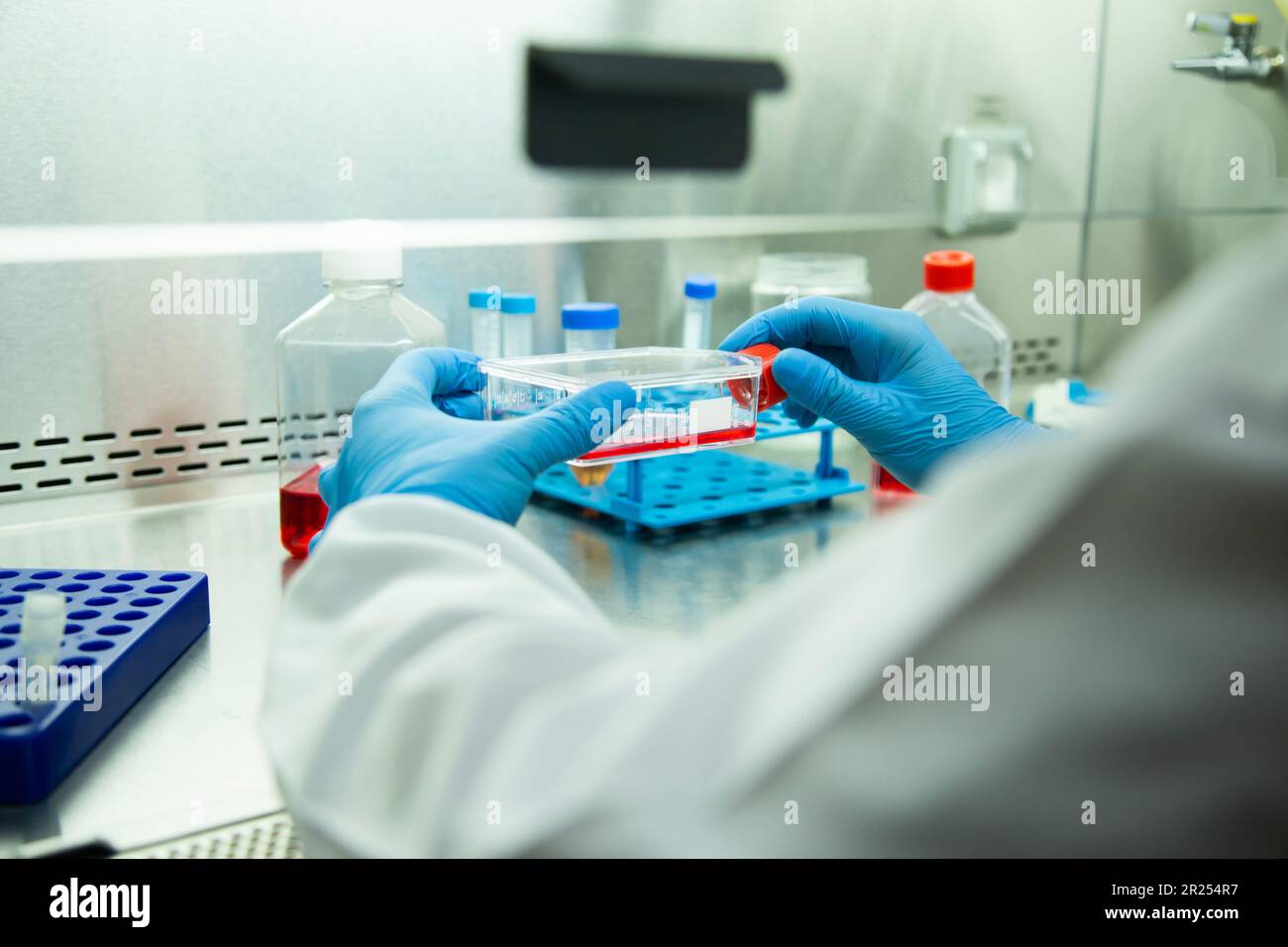 cell culture media Stock Photo - Alamy