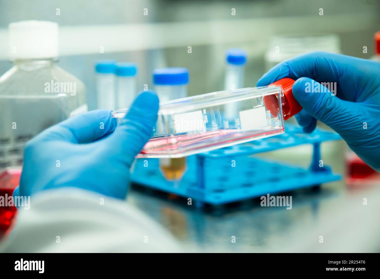 cell culture media Stock Photo - Alamy