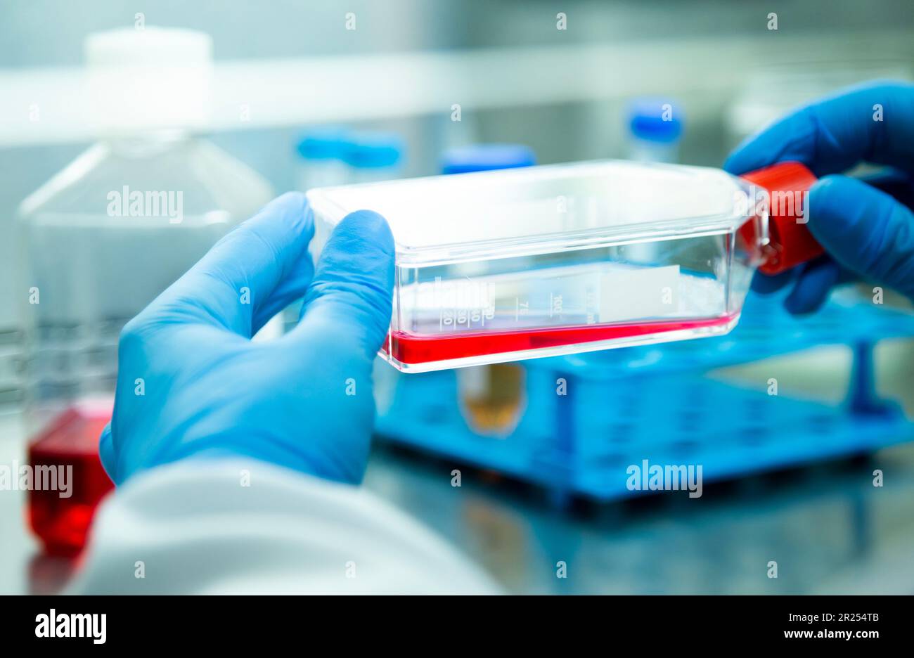 cell culture media Stock Photo - Alamy