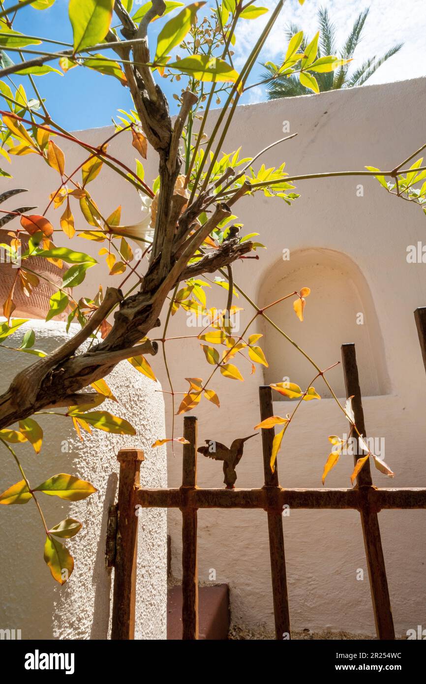 Metal hummingbird on a gate at Tohono Chul Park, Tucson, Arizona, USA ...