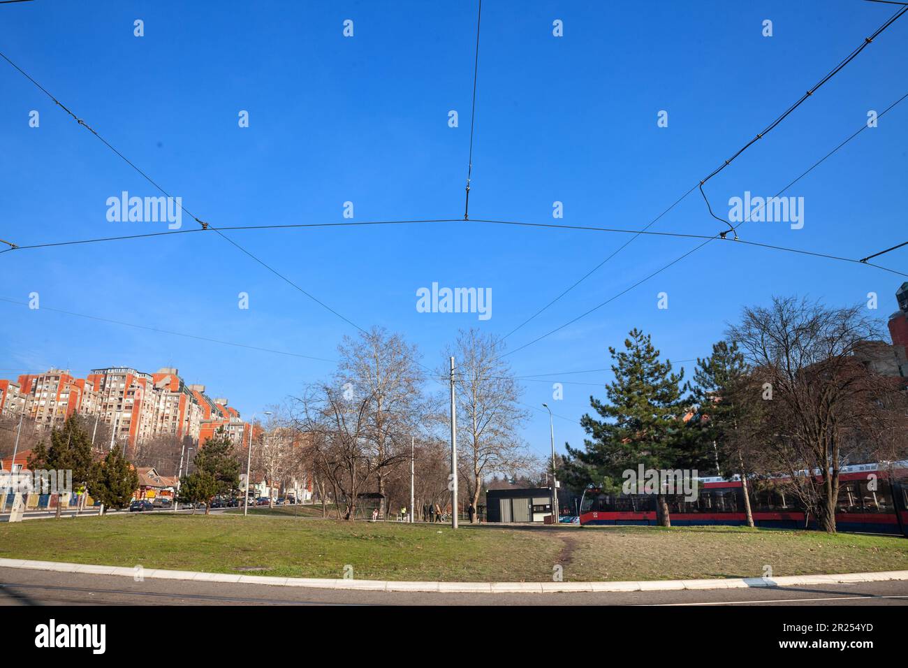 Picture of a belgrade tram, CAF model, standing in front of a tram stop ...