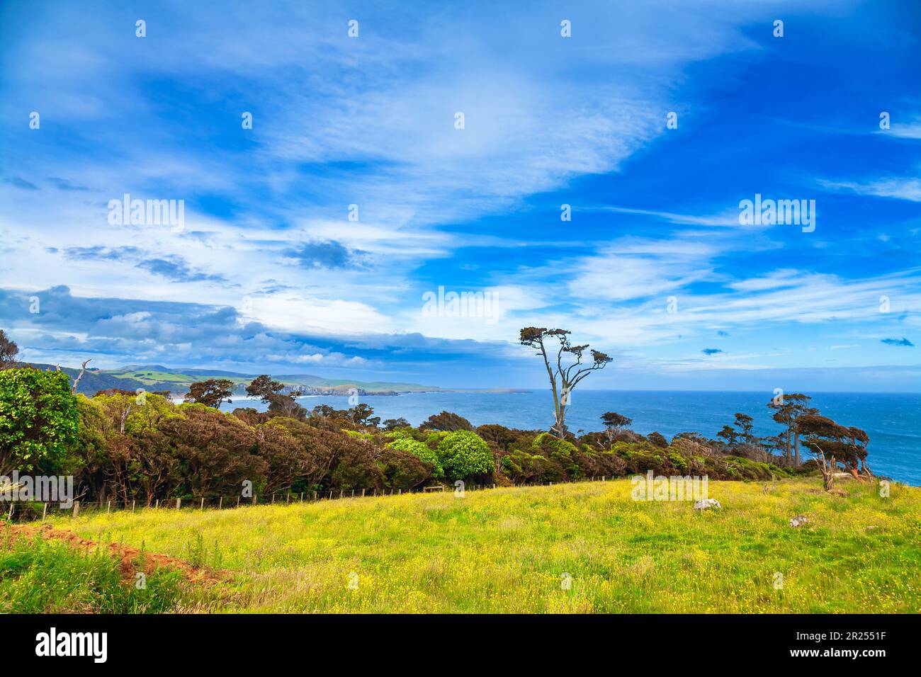 Scenic Catlins Coast near Papatowai in South Island of New Zealand ...