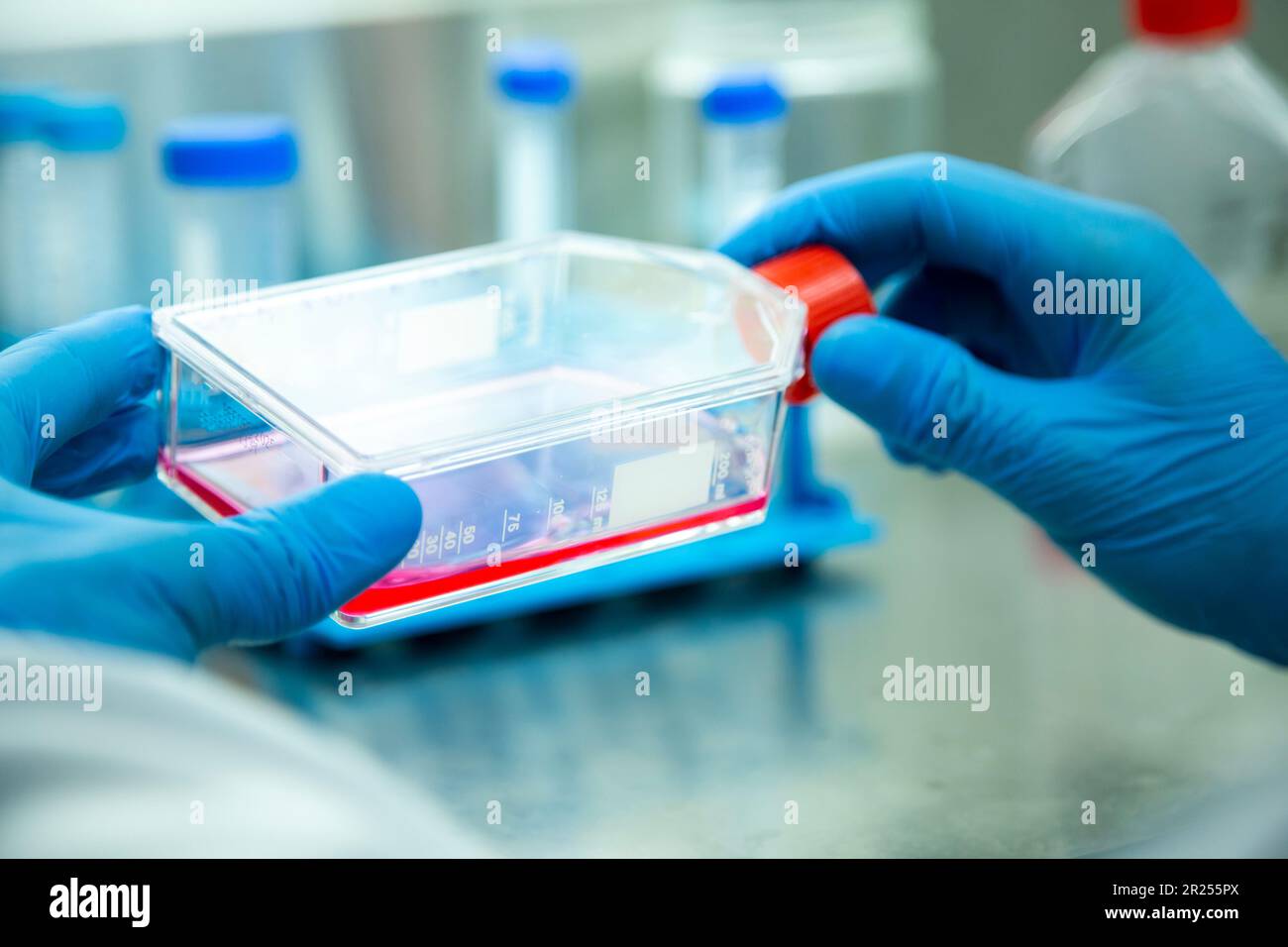 cell culture media Stock Photo - Alamy