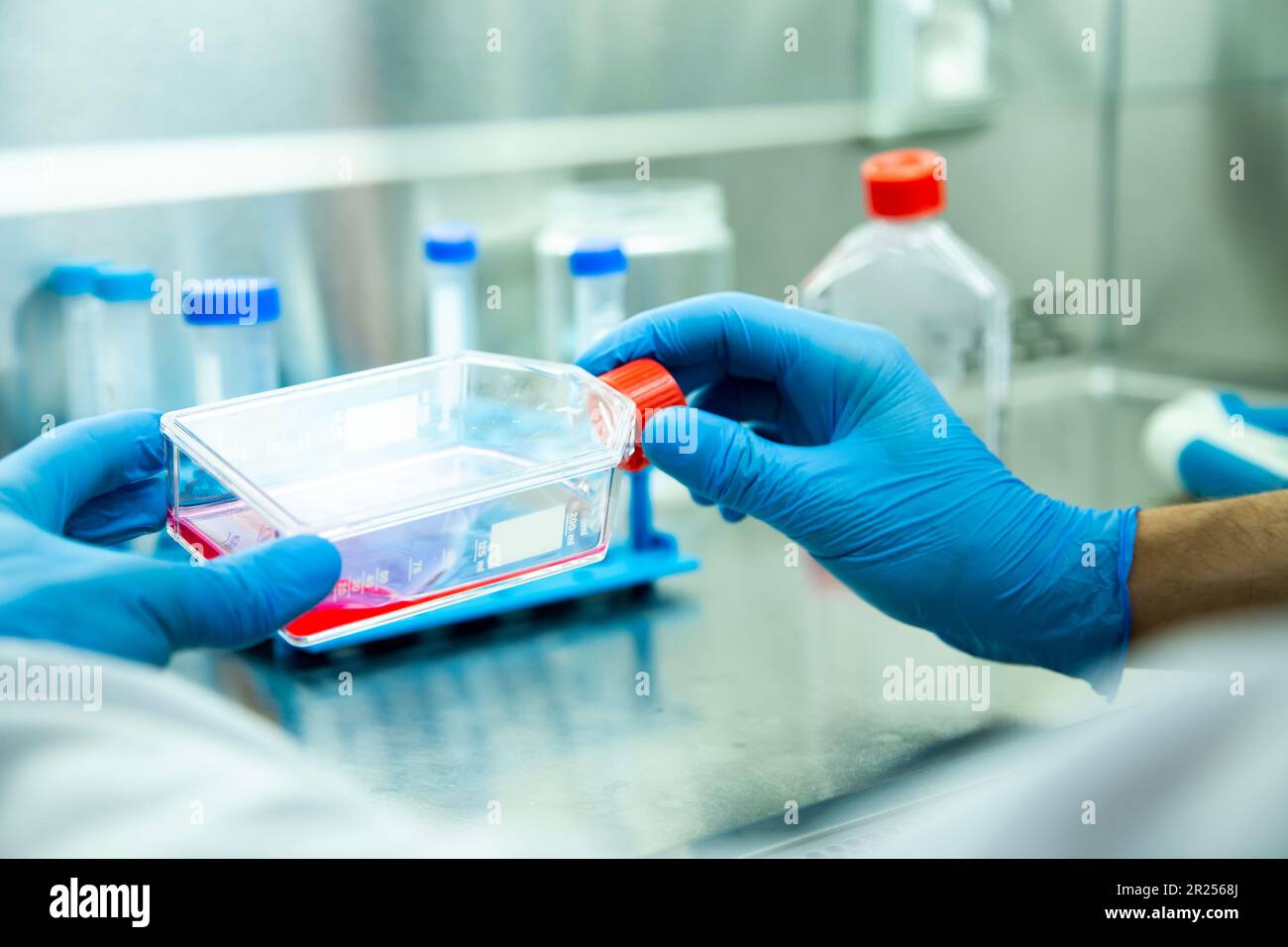 cell culture media Stock Photo - Alamy