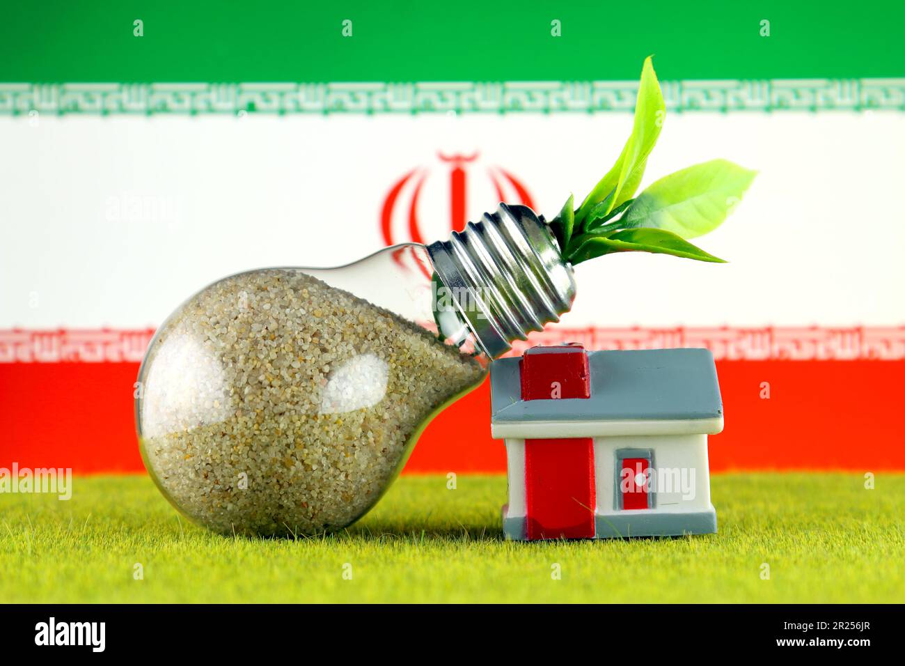 Plant growing inside the light bulb, miniature house on the grass and ...