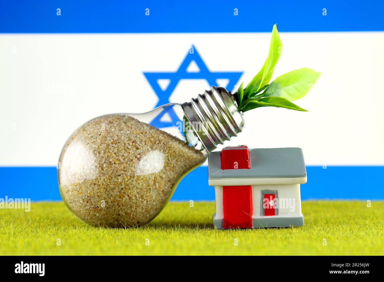 Plant growing inside the light bulb, miniature house on the grass and ...