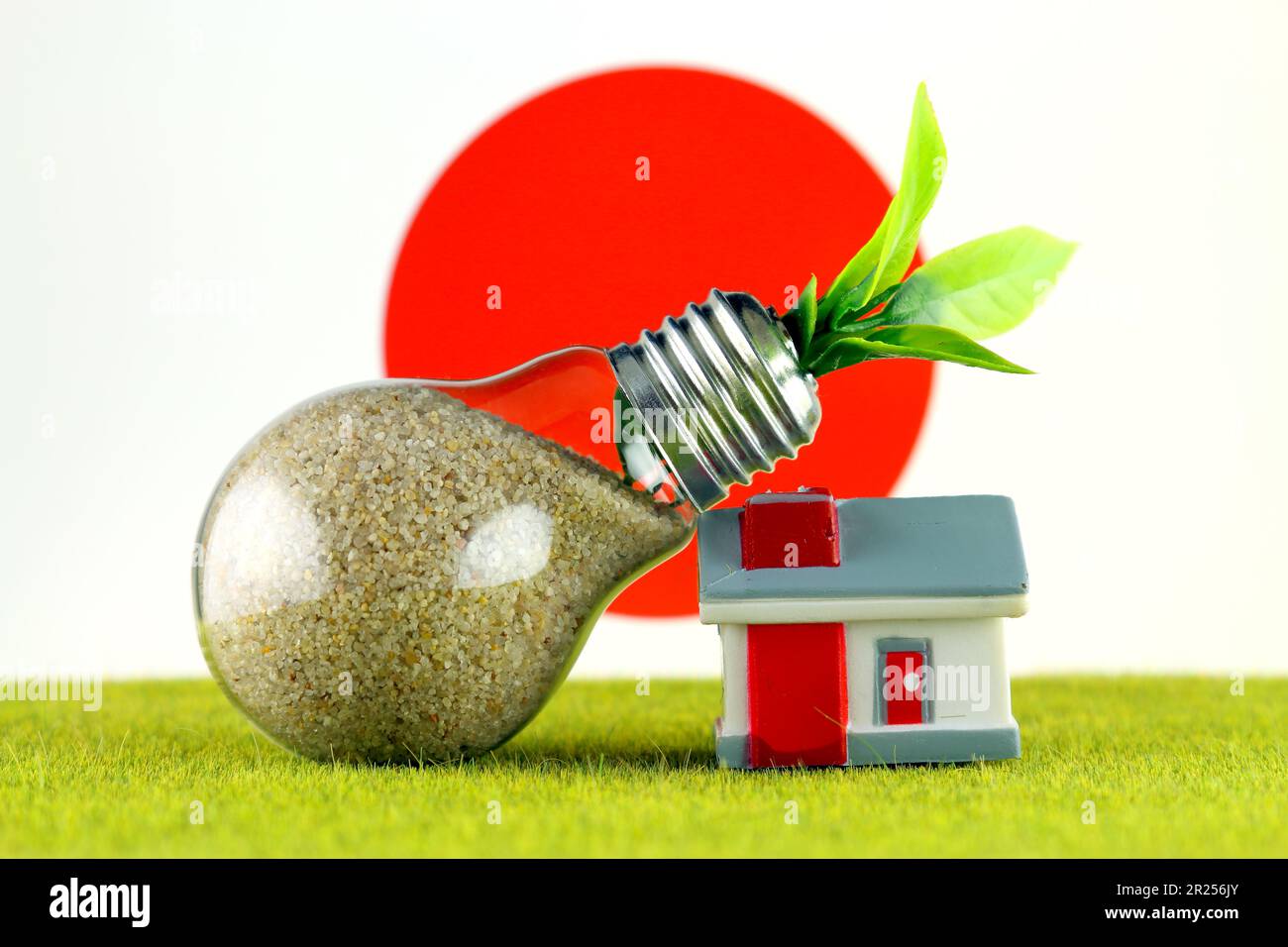 Plant growing inside the light bulb, miniature house on the grass and ...