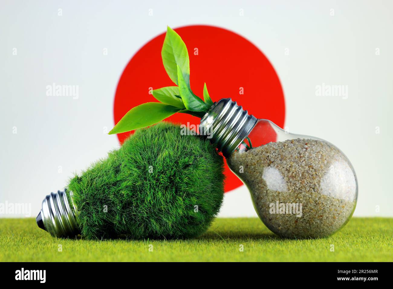 Green eco light bulb with grass, plant growing inside the light bulb ...