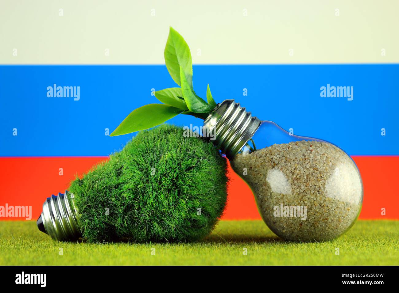 Green eco light bulb with grass, plant growing inside the light bulb ...