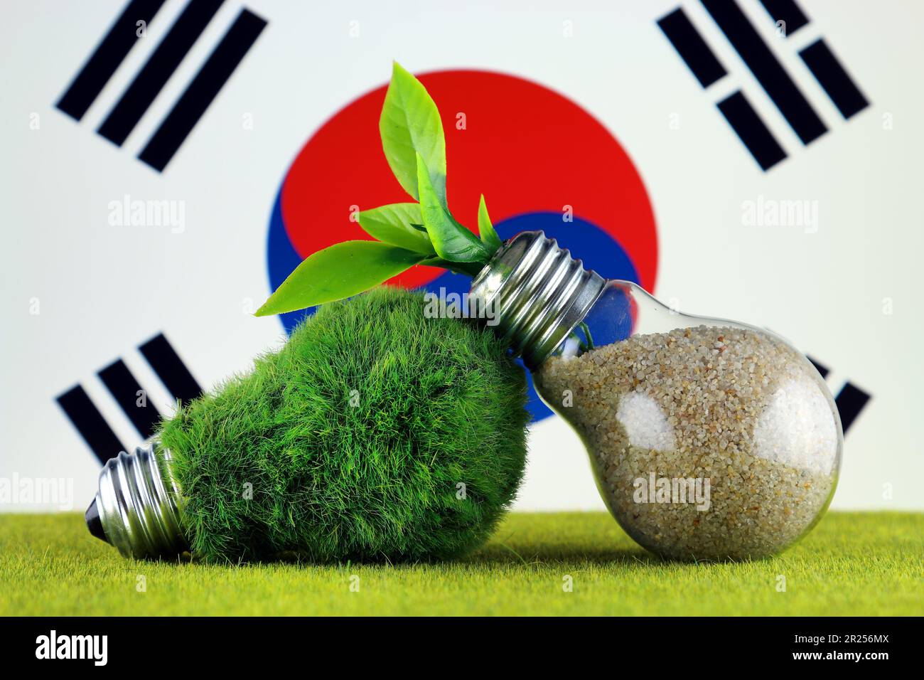 Green eco light bulb with grass, plant growing inside the light bulb ...