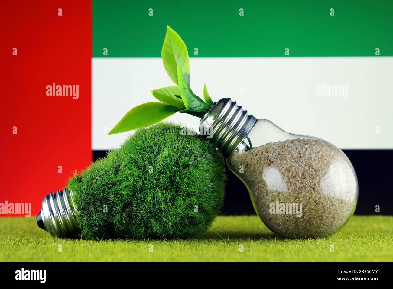 Green eco light bulb with grass, plant growing inside the light bulb ...