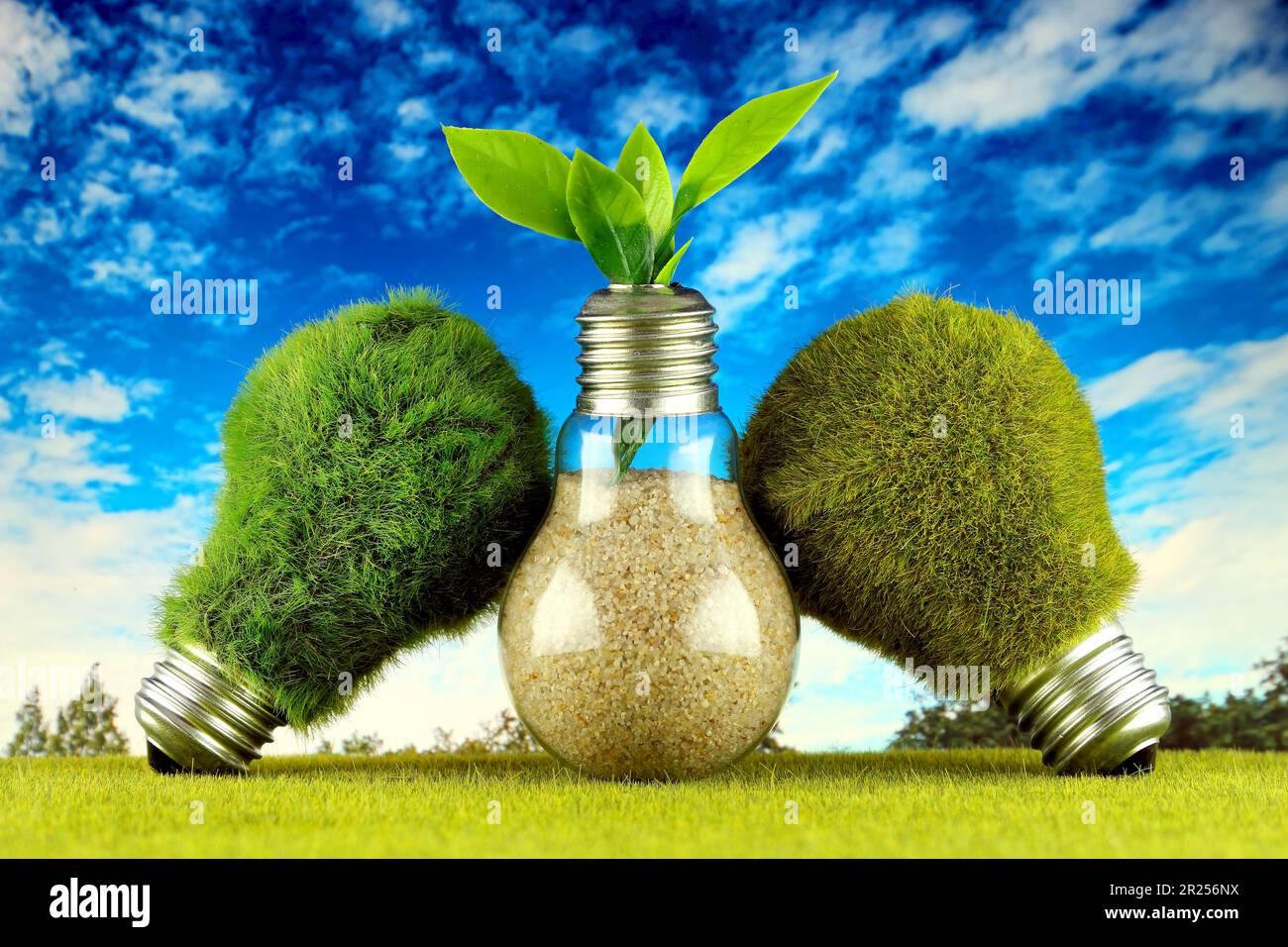 Green eco light bulbs with grass, plant growing inside the light bulb ...