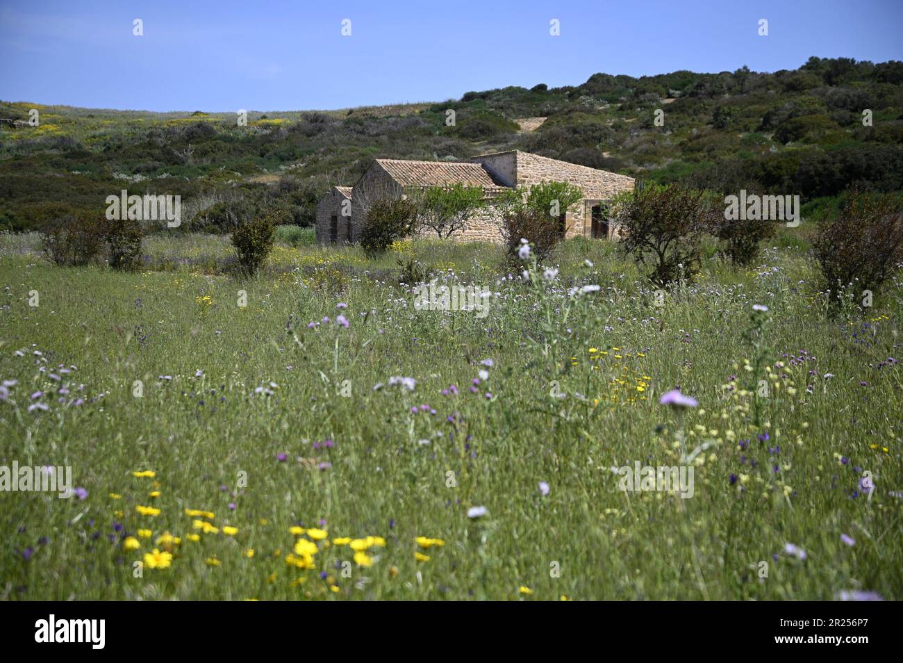 Scenic rural landscape at the countryside of Selinunte in Trapani ...