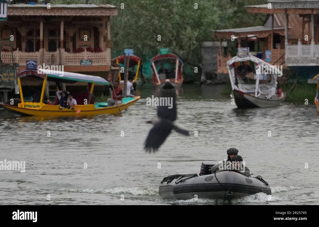 A bird flies past Indian Navy's Marine Commandos (MARCOS) patrolling ...