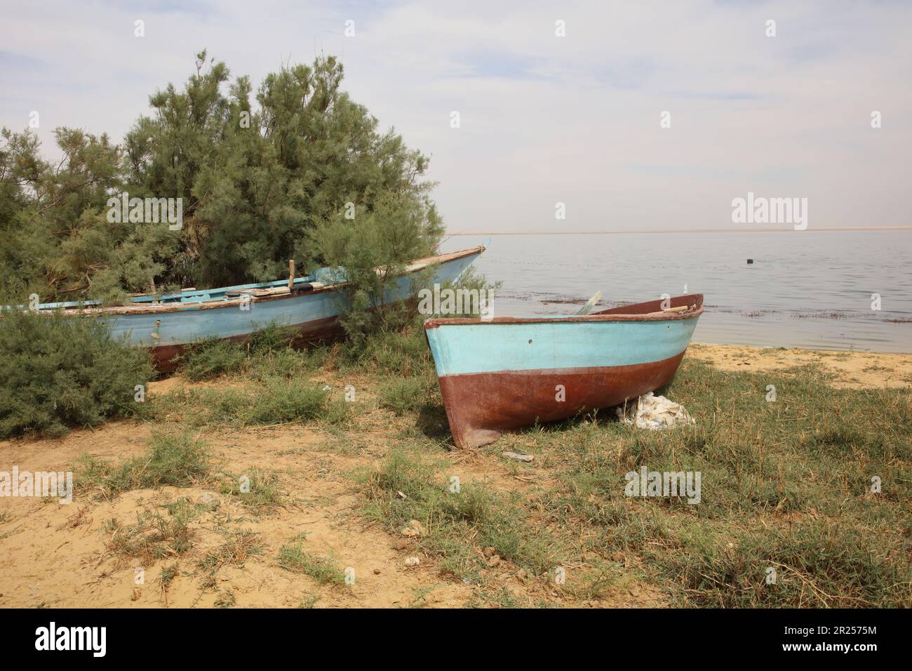 grass, boat, shore, and water Stock Photo - Alamy