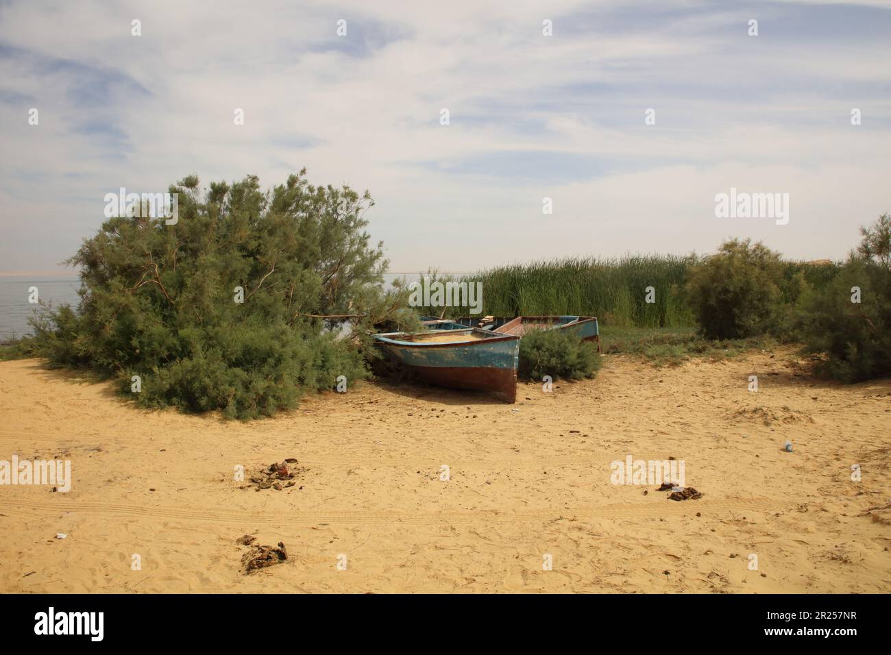 grass, boats, sand, and lake Stock Photo - Alamy
