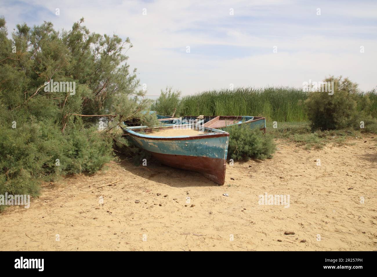 grass, boats, sand, and cloudy weather Stock Photo - Alamy
