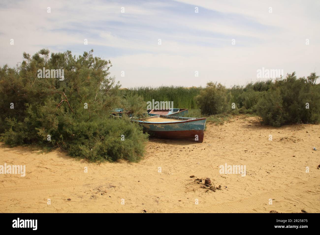 grass, boats, and sand Stock Photo - Alamy