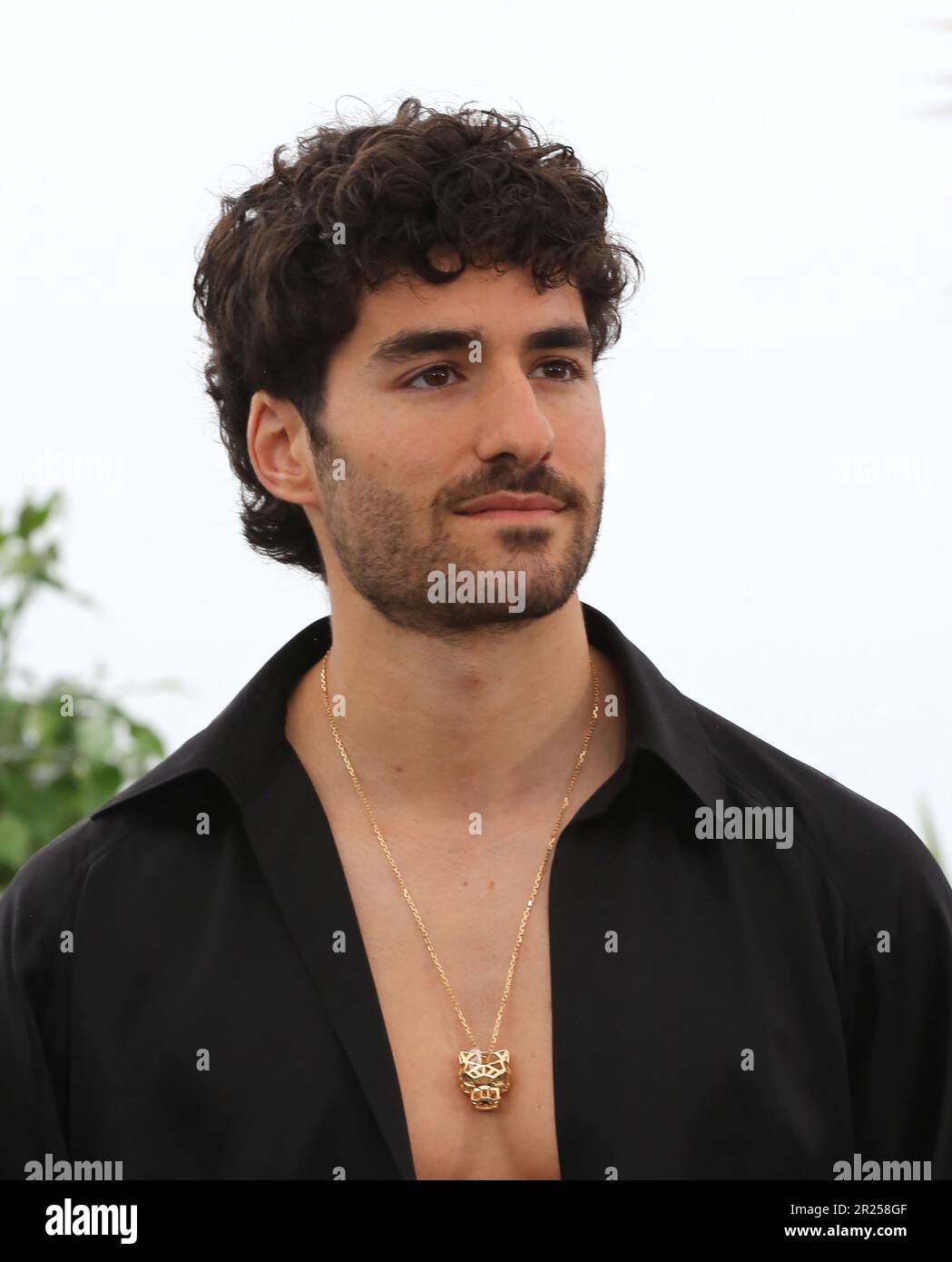 Extrana forma de vida strange way of life hi-res stock photography and ...