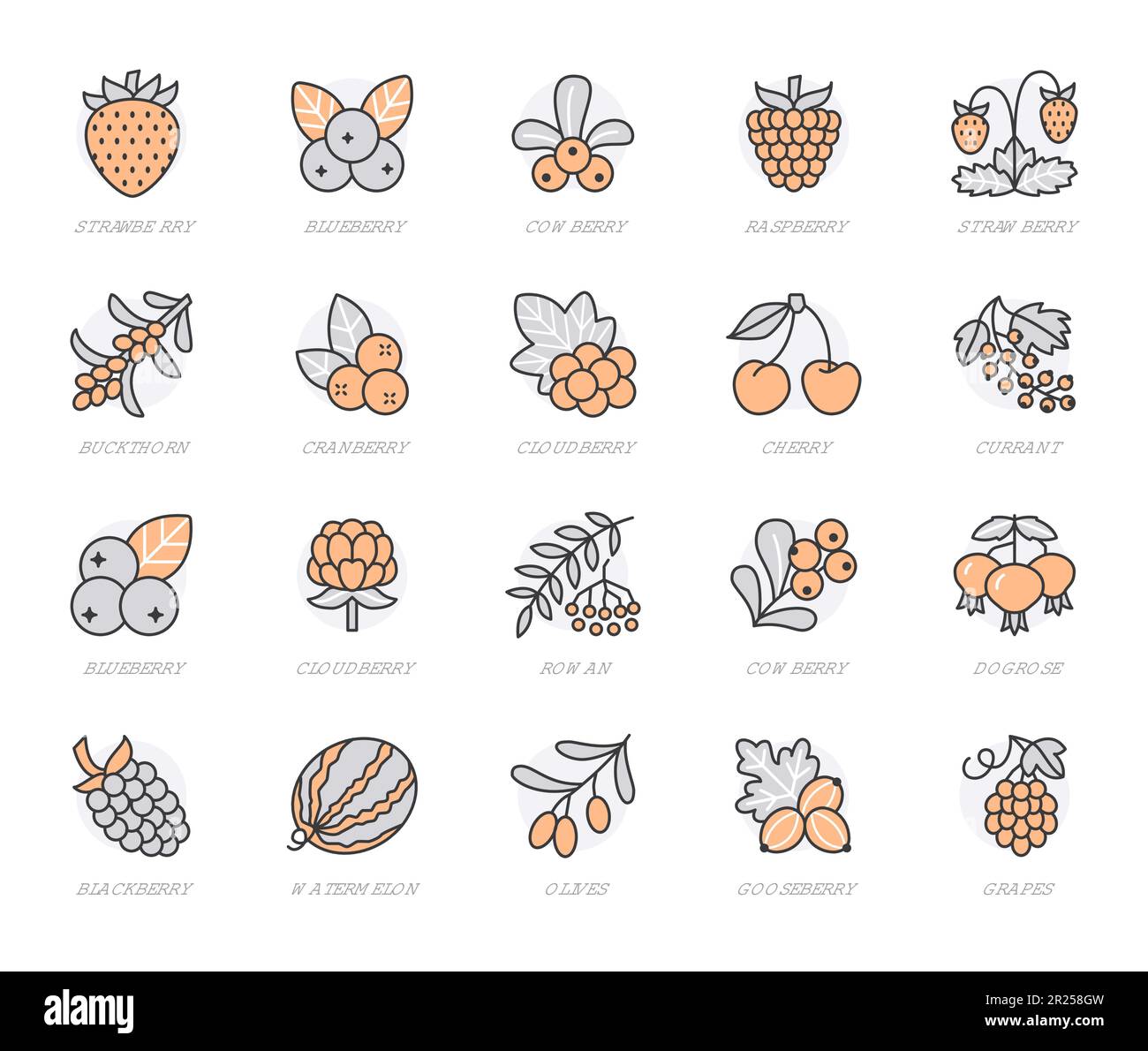 Huckleberry seed Stock Vector Images - Alamy