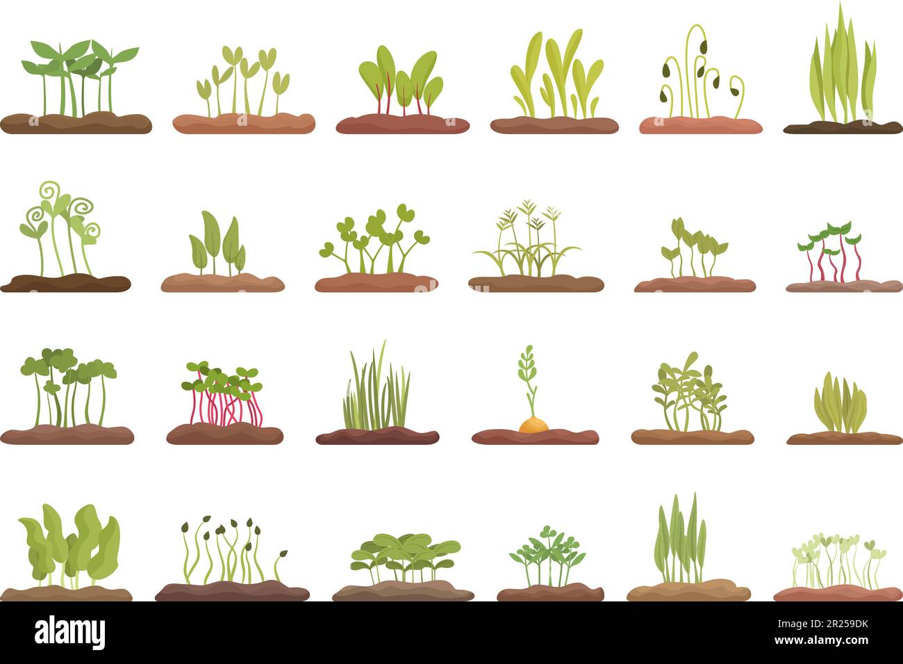 Growing microgreens icons set cartoon vector. Plant pea. Beet seed ...
