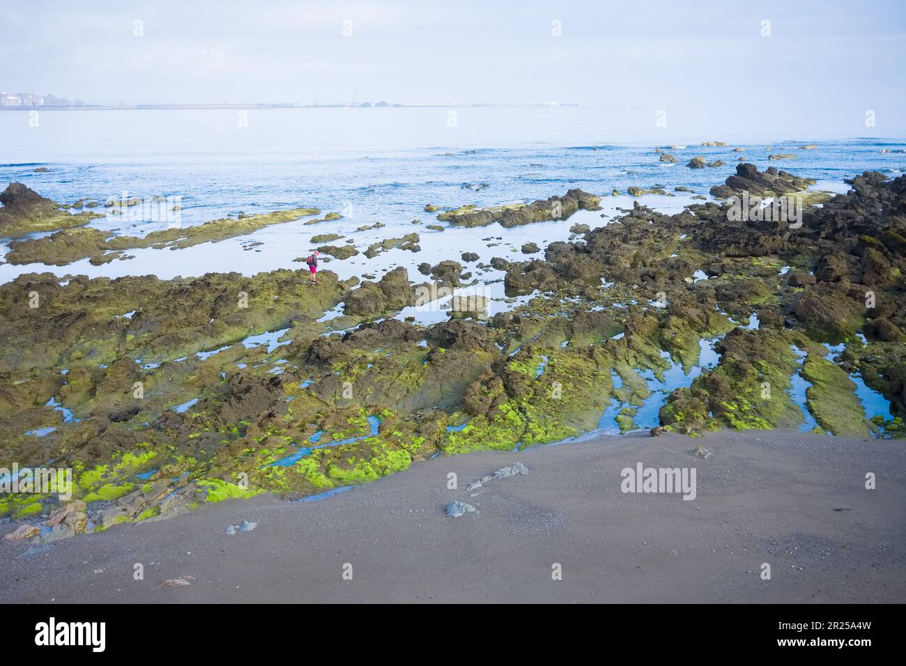 Rock pools during low tide hi-res stock photography and images - Alamy