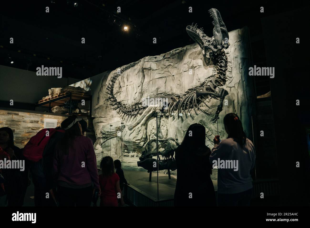 Drumheller, Canada - Mar 2023 Visitors flock to the dinosaur exhibits ...