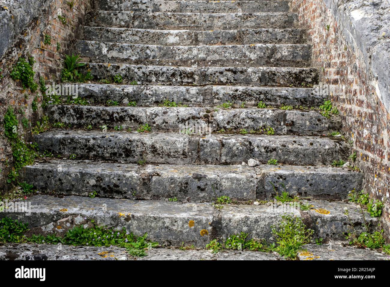 The Mortemer abbey is a former cistercian monastery in the forest of ...