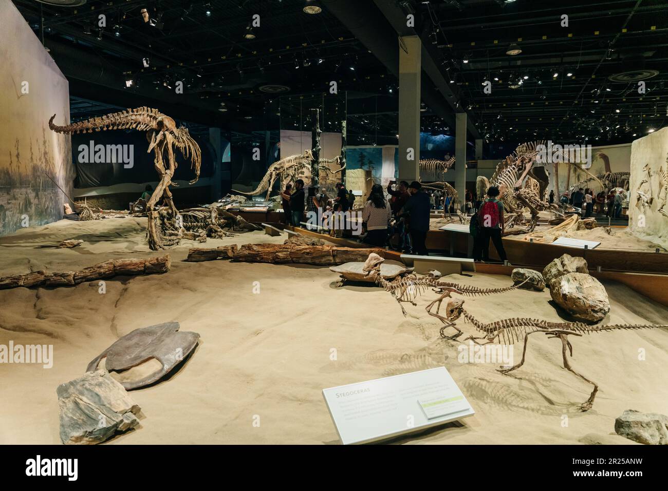 Drumheller, Canada - Mar 2023 Visitors flock to the dinosaur exhibits ...
