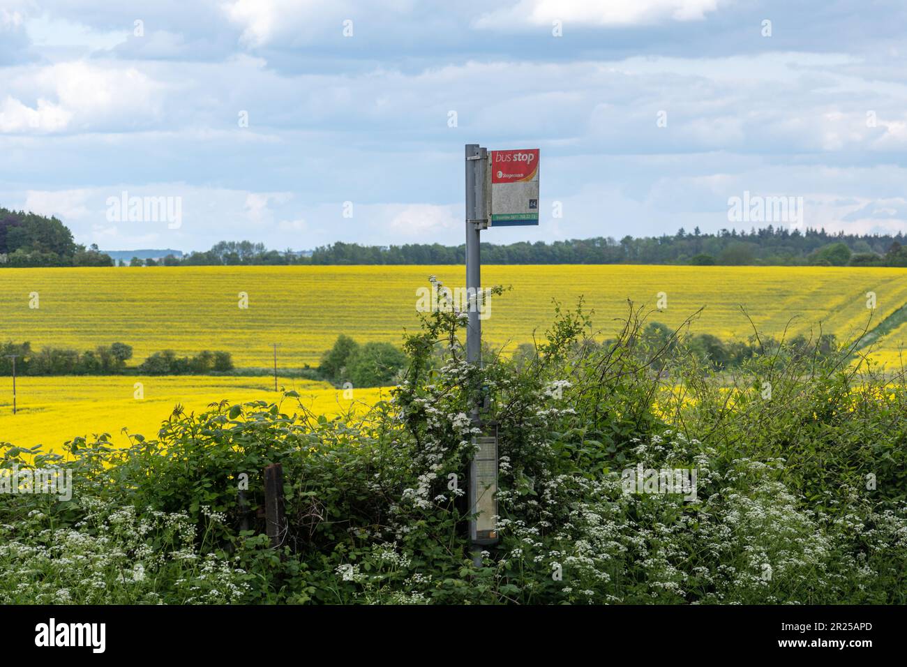 Rural countryside bus stop near Winchester, Hampshire, England, UK ...