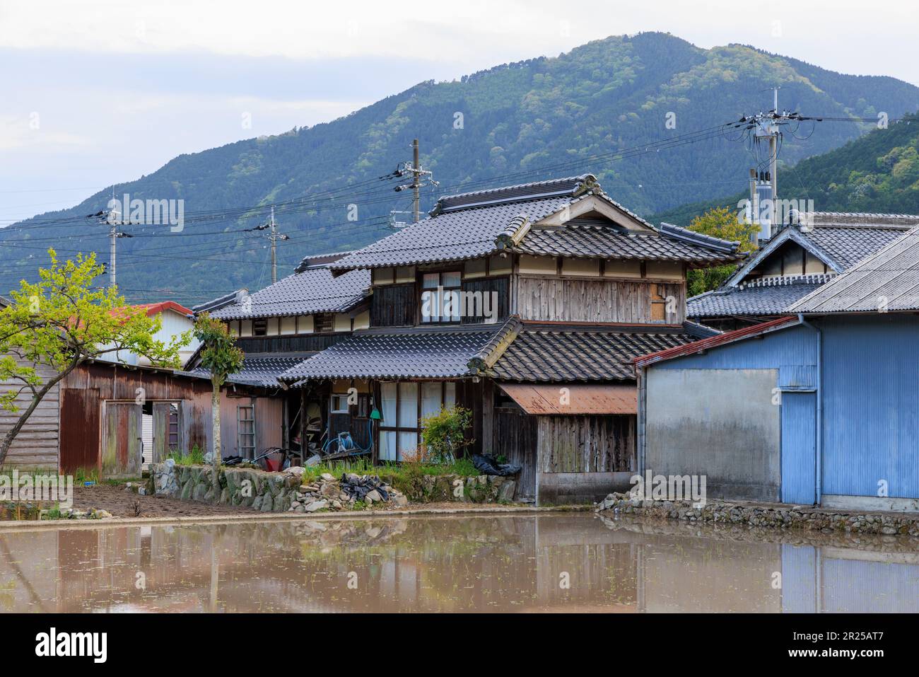 Traditional Japanese wooden house by flooded rice field in small town ...