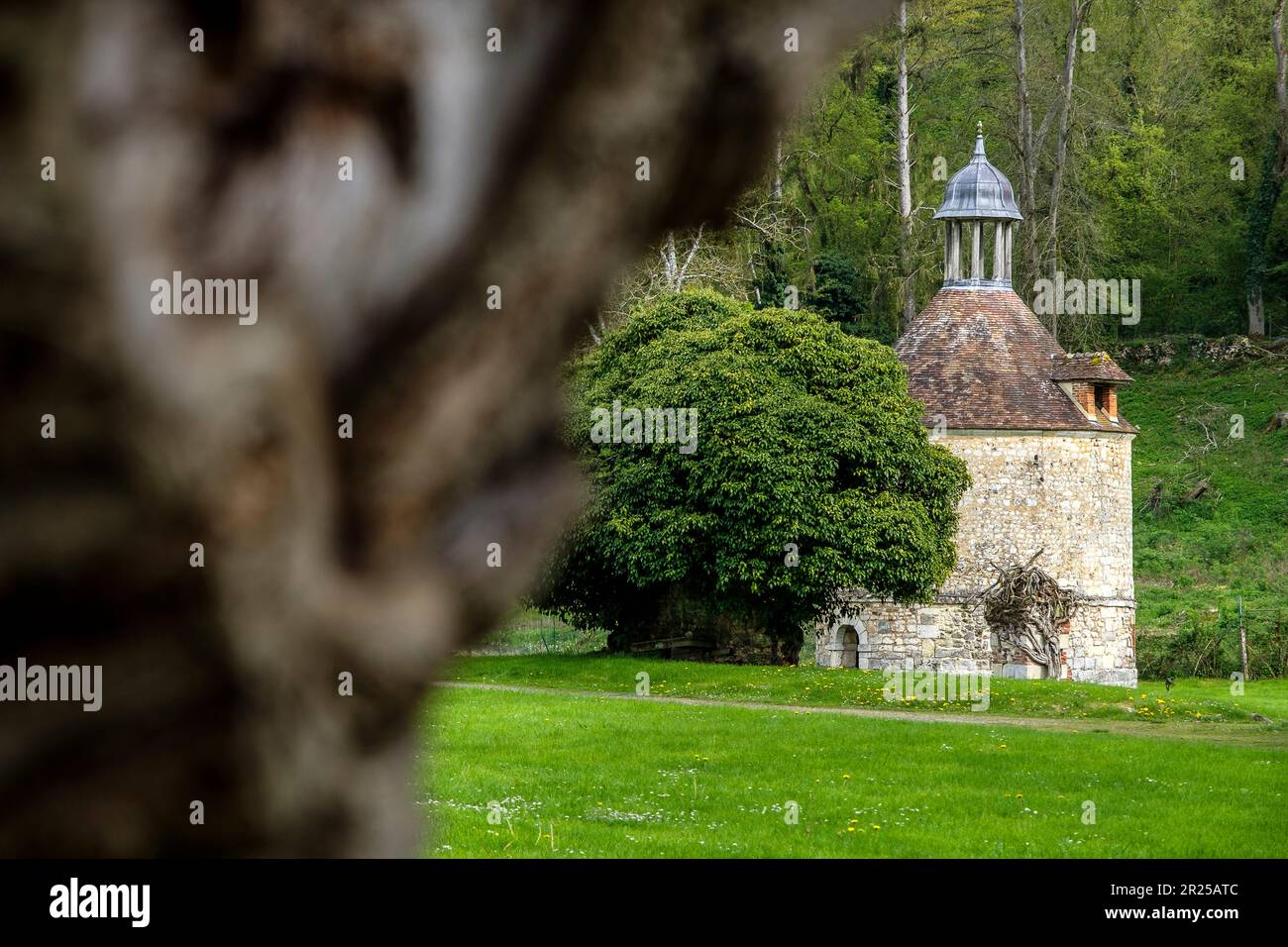 The Mortemer abbey is a former cistercian monastery in the forest of ...