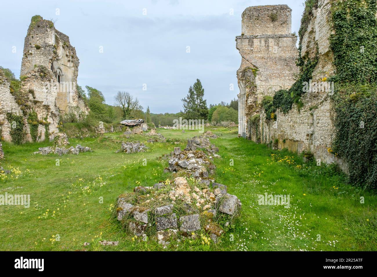 The Mortemer abbey is a former cistercian monastery in the forest of ...