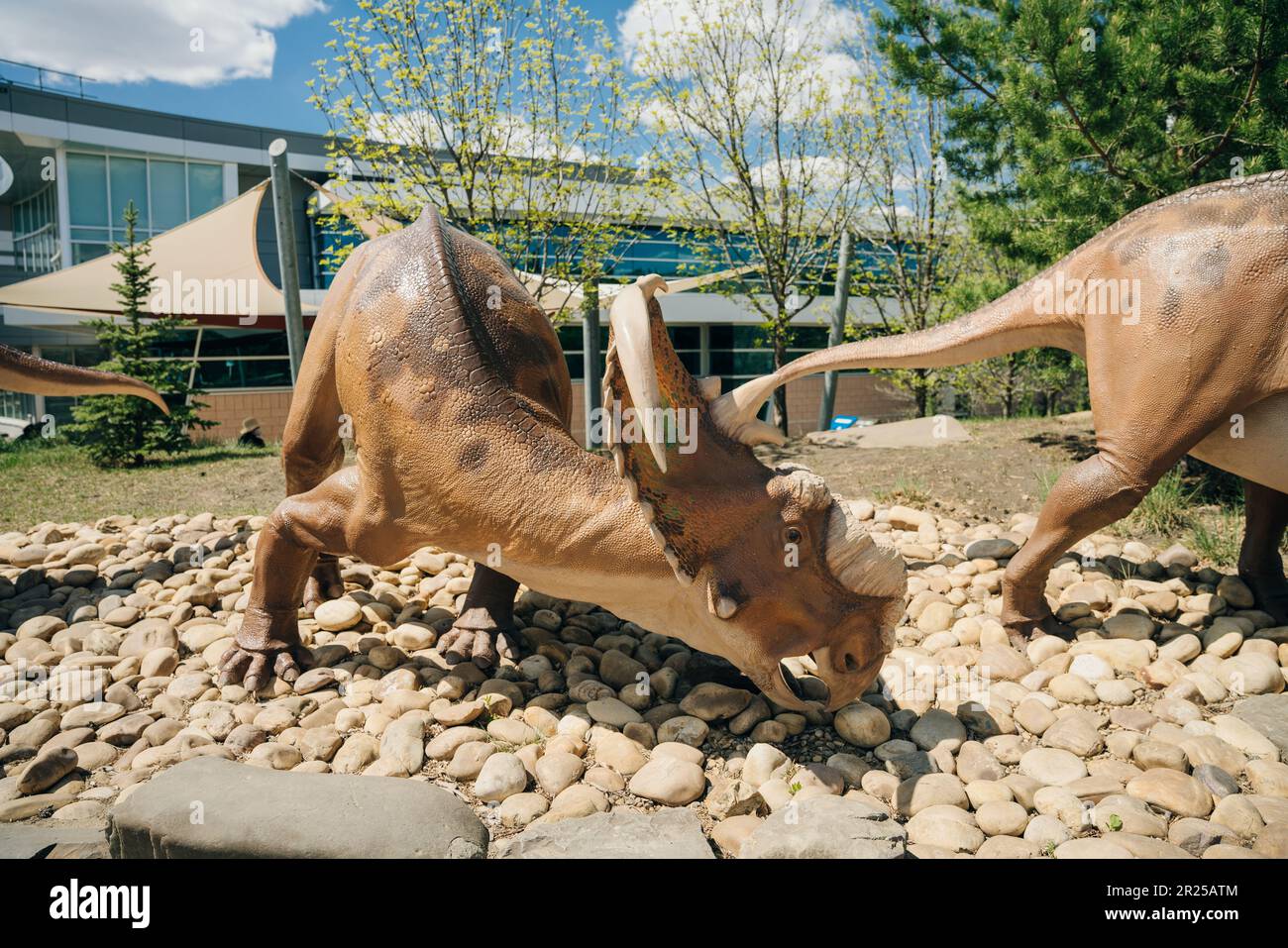 DRUMHELLER, ALBERTA, CANADA - may 2023 Visitors at the front entrance ...