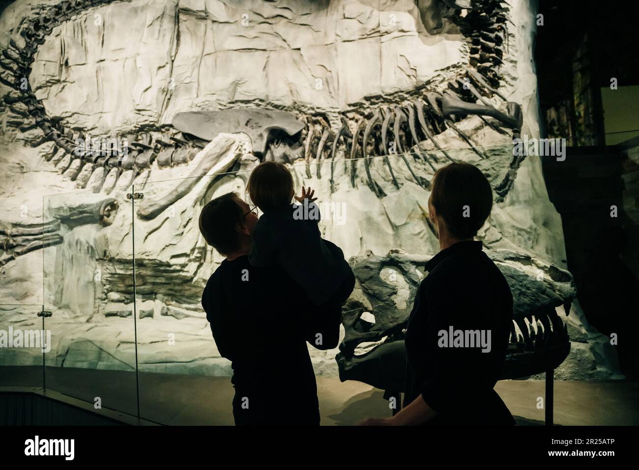 DRUMHELLER, ALBERTA, CANADA - may 2023 Visitors at the front entrance of the Royal Tyrrell ...