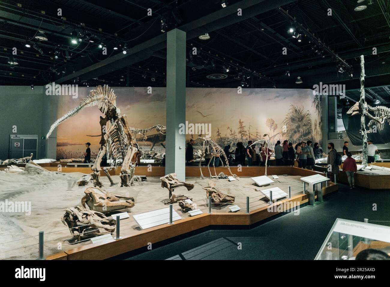 Drumheller, Canada - Mar 2023 Visitors flock to the dinosaur exhibits at the entrance of the ...