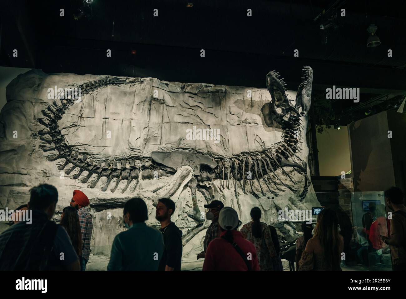 Tyrrell Museum Wedding Royal Tyrrell Museum Of Palaeontology, Alberta