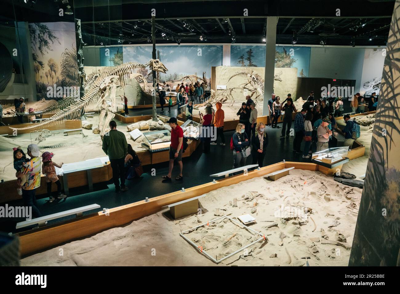 Drumheller, Canada - Mar 2023 Visitors flock to the dinosaur exhibits ...