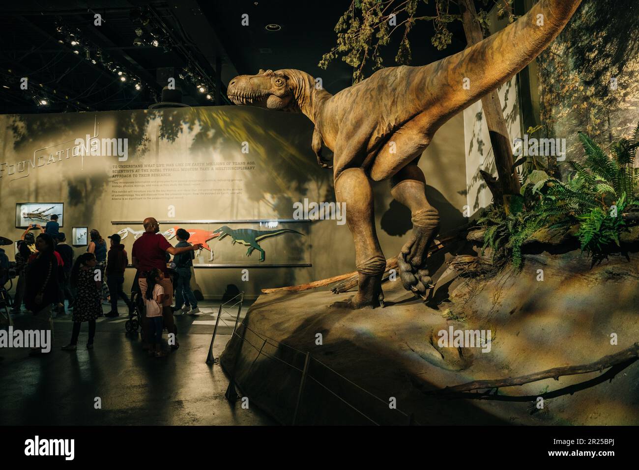 Tyrrell Museum Wedding Royal Tyrrell Museum Of Palaeontology, Alberta