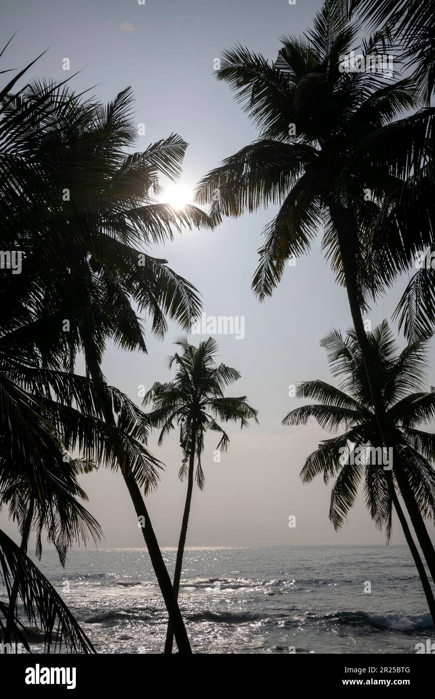 Sri Lanka, Southern Province, Sud, Süd, South, ville, Staadt, city ...