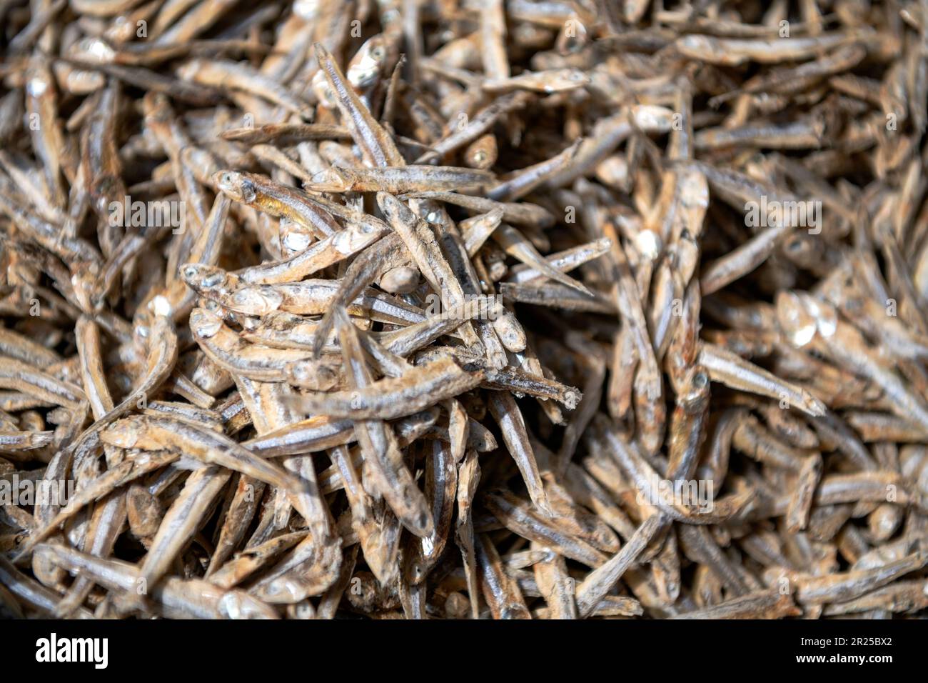 Sri Lanka, Southern Province, Sud, Süd, South, Matara, ville, Staadt ...