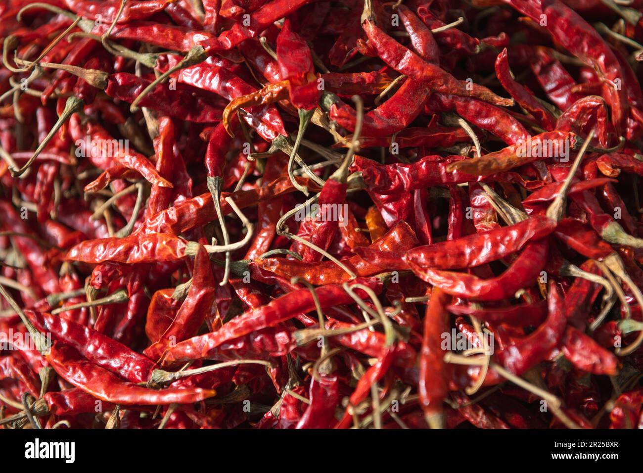 Piment chili hi-res stock photography and images - Alamy