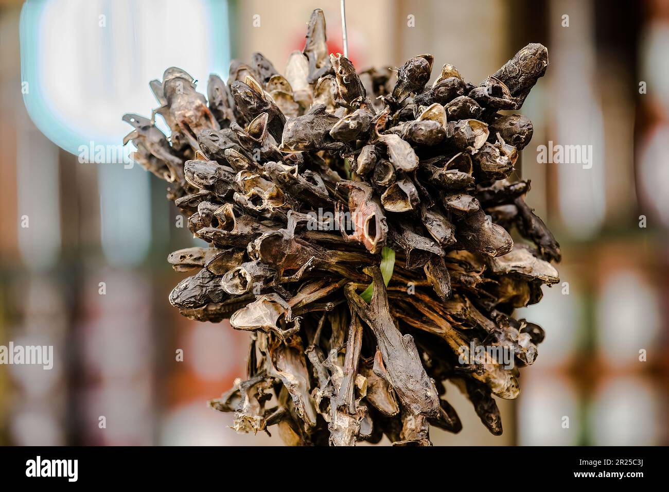 A bit of dried snake anyone Stock Photo - Alamy