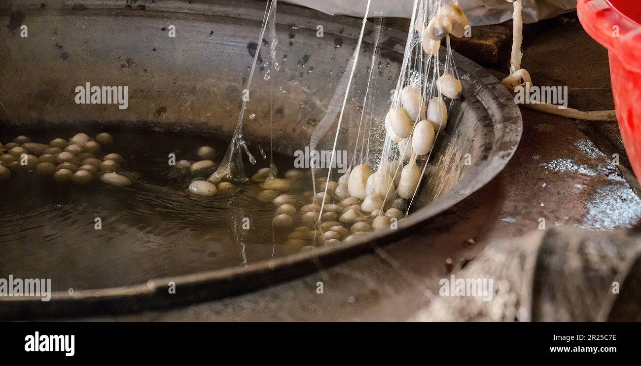 China traditional silk weaving hi-res stock photography and images - Alamy