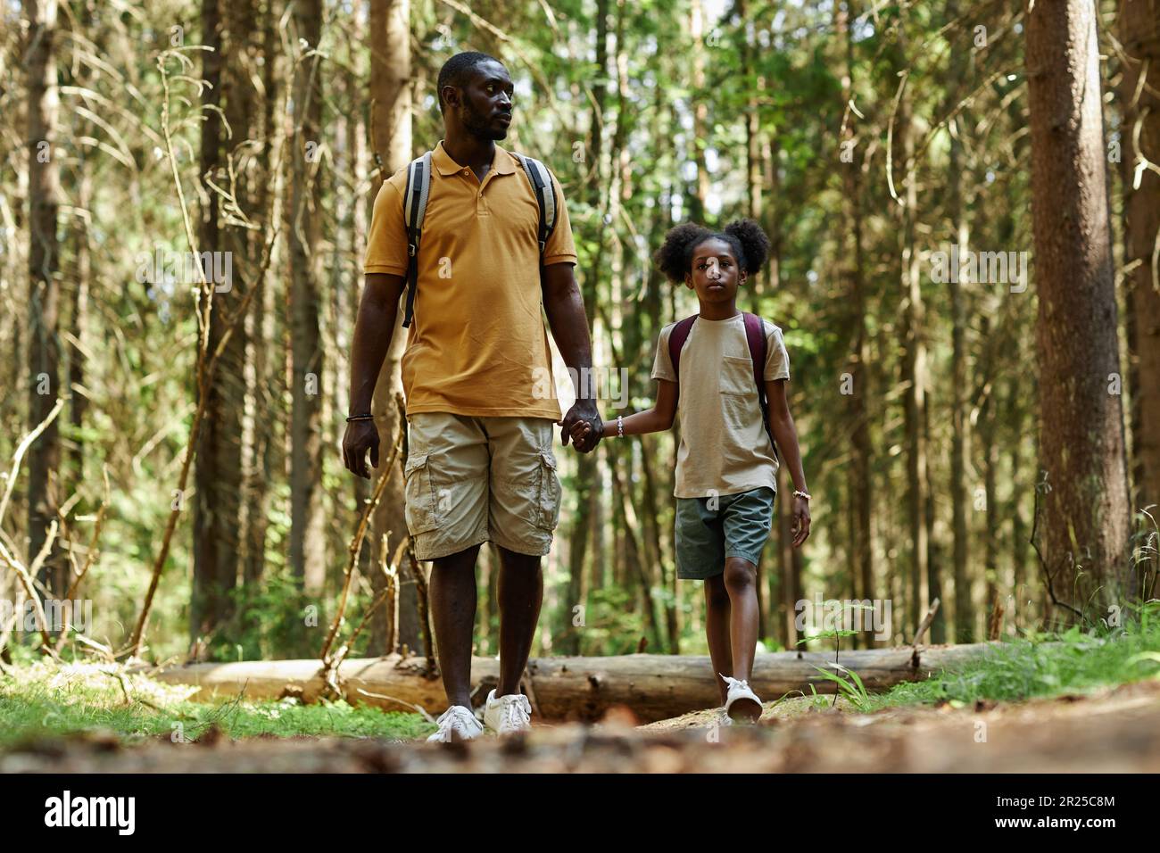 African American dad hiking in the forest together with his daughter ...