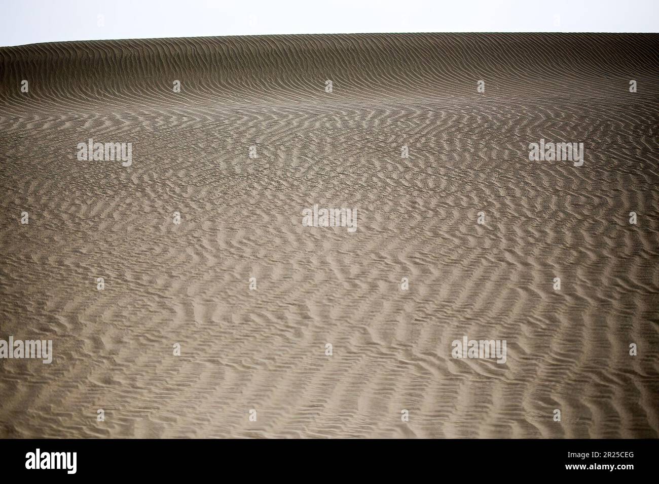 In the great Taklamakan Stock Photo - Alamy