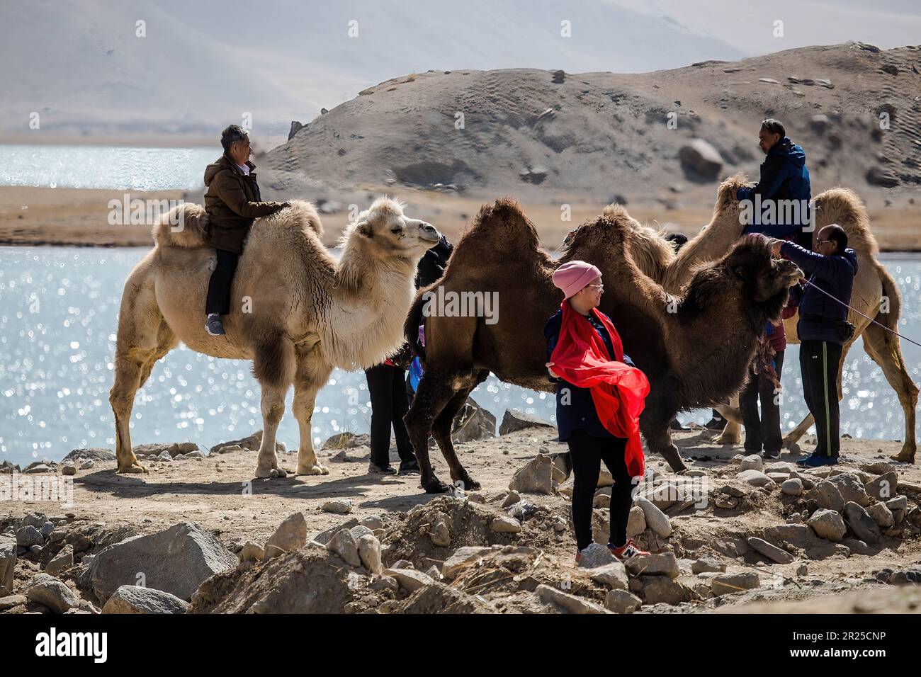 Having fun high up hi-res stock photography and images - Alamy